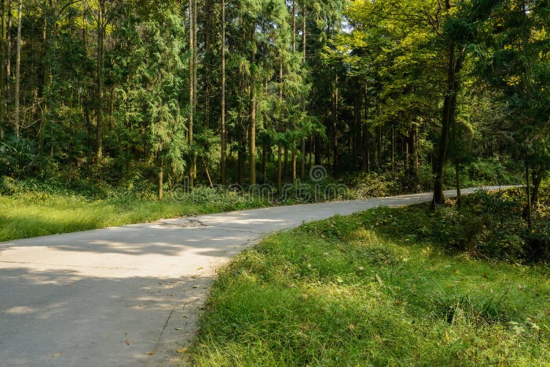 Curving Mountainside Road in Shady Woods on Sunny Day Stock Photo ...