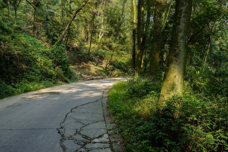 Mountainside road stock image. Image of beautiful, country - 20056113