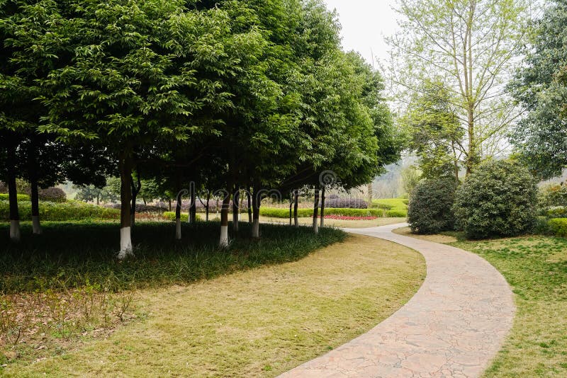 Curving path stock image. Image of color, colors, blooming - 2513961