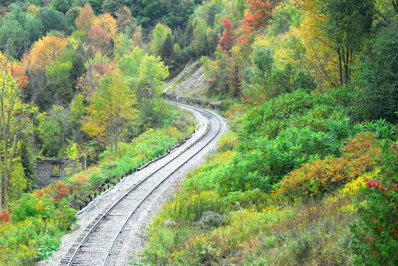 Curving Railway Tracks in Forest Stock Photo - Image of journey ...