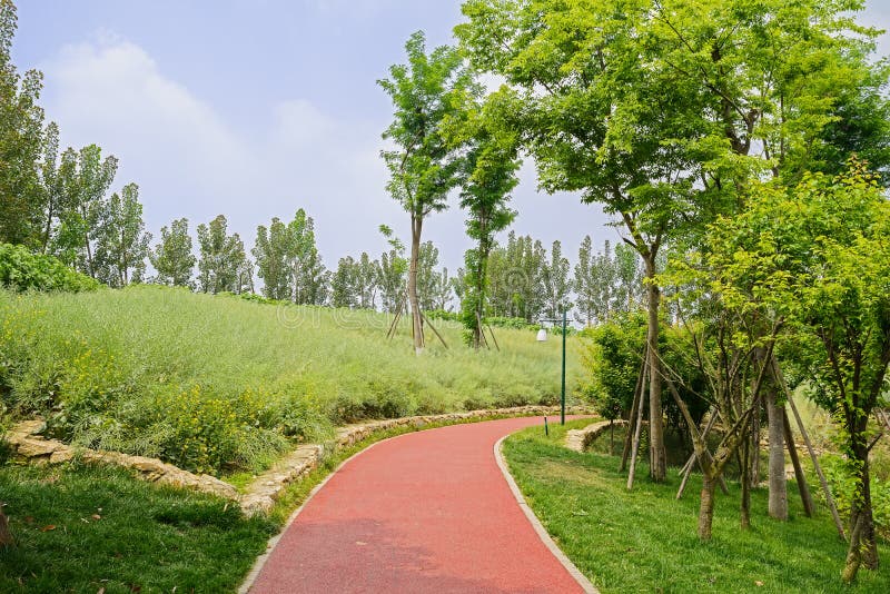 Path on Hillside Meadow in Mountain at Sunset Stock Photo - Image of ...