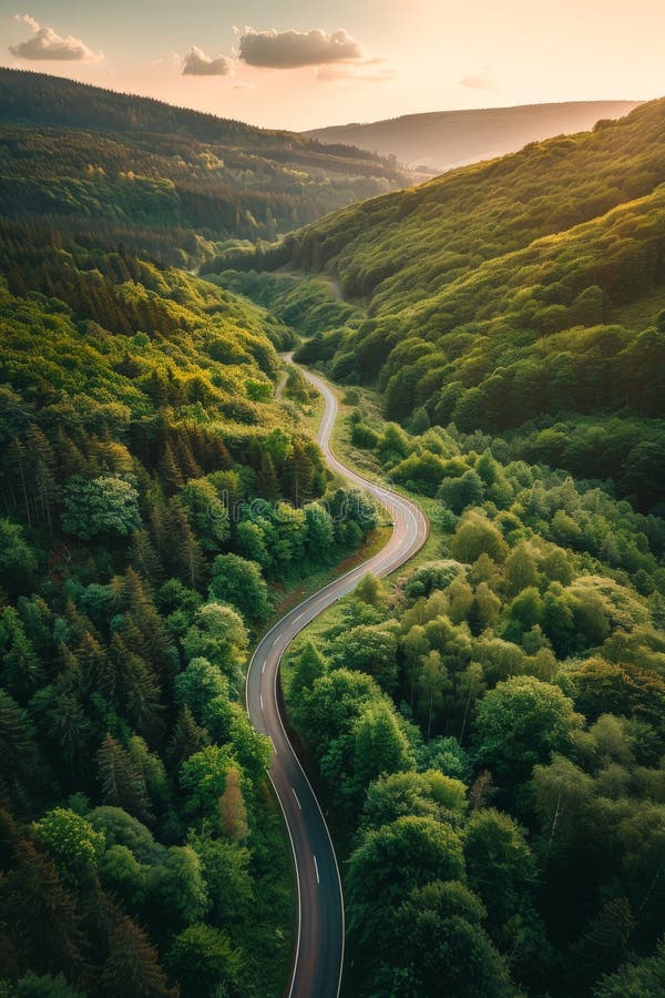 Curving Road through Dense Forest Stock Illustration - Illustration of ...