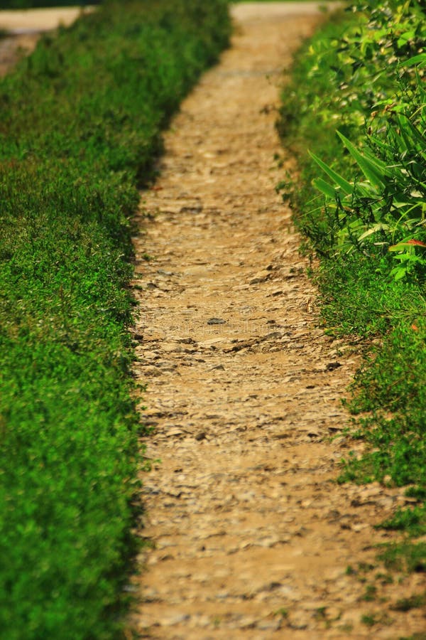 Curving rocky path stock photo. Image of summer, path - 75246288