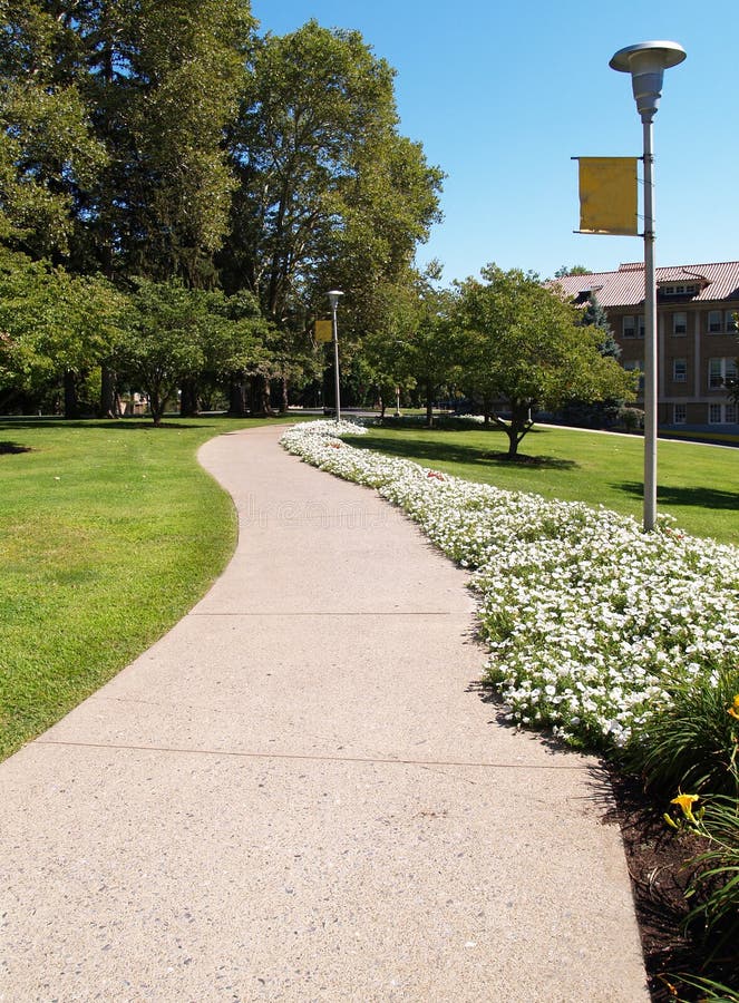 1,035 College Campus Sidewalk Stock Photos - Free & Royalty-Free Stock ...