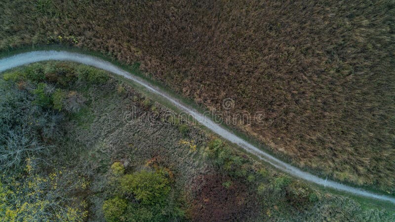 A curving trail in a field stock image. Image of nature - 312366077