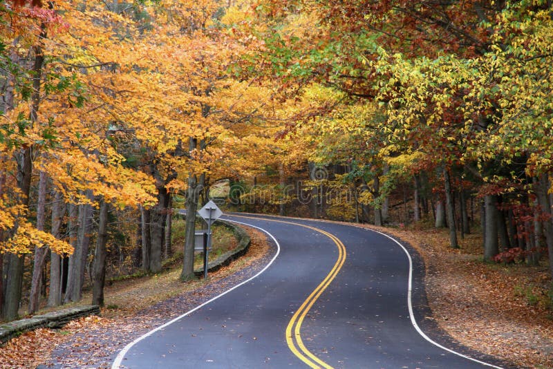Curvy Asphalt Road with Autumn Trees on the Side Stock Image - Image of ...