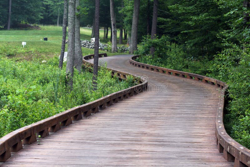 Curvy Bridge on Golf Course Stock Photo - Image of planks, green: 5607034