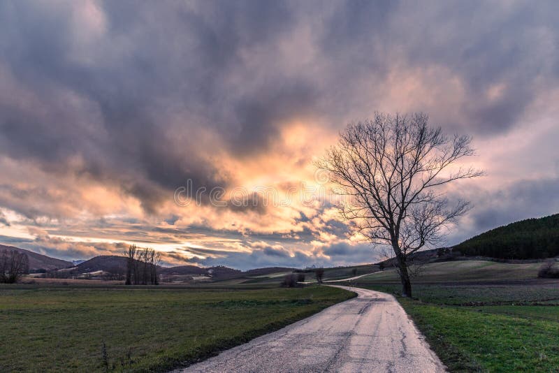 A Curvy Country Road Beneath a Cloudy Sky at Sunset with a Tree ...