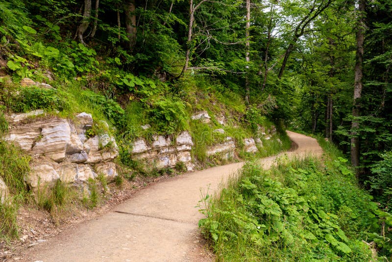 Curvy Dirt Road Down a Mountain Side or Slope Stock Image - Image of ...