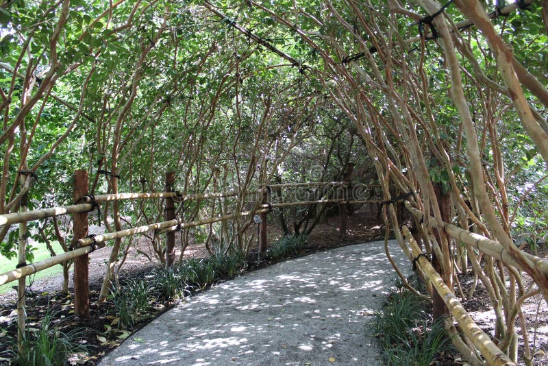 Curvy Long Trail through the Arch Made by Trees Stock Image - Image of ...
