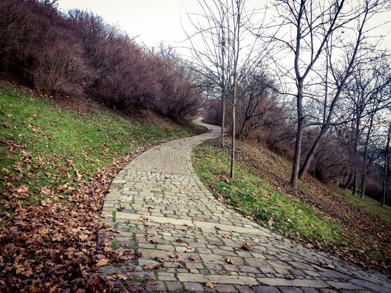 Curvy path stock photo. Image of hill, fall, surrounded - 128513120