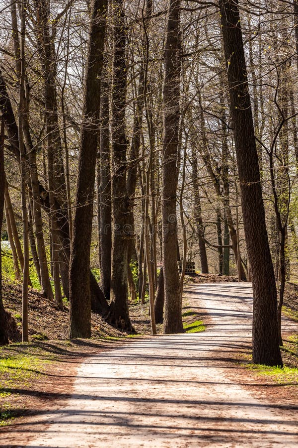 Curvy Path Way Among Trees In Park At Spring Stock Photo - Image of ...