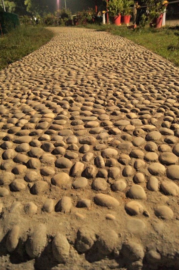 543 Curvy Pathway Photos - Free & Royalty-Free Stock Photos from Dreamstime