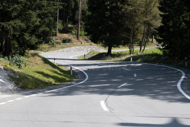 Curvy Paved Road with Tree Shadows Going through a Forested Area in the ...