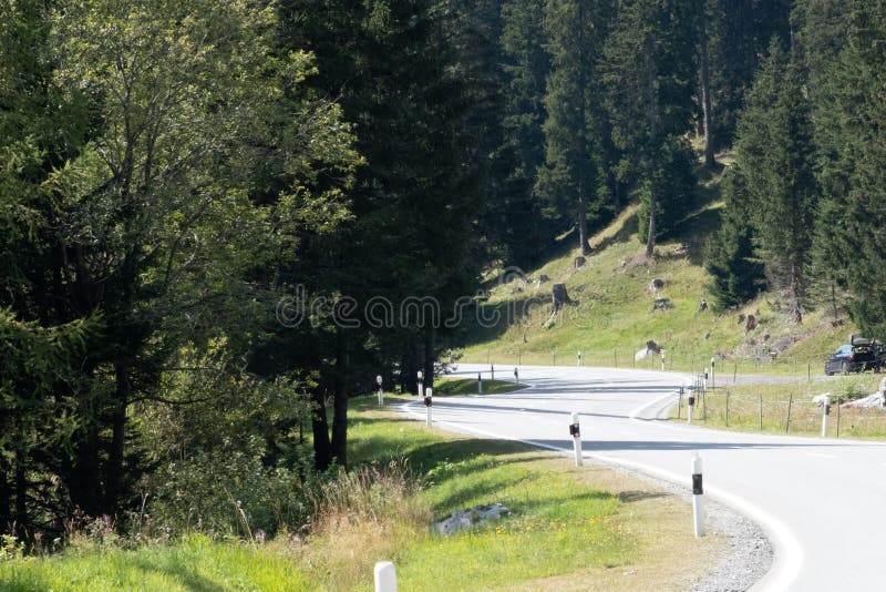 Curvy Paved Road with Tree Shadows Going through a Forested Area in the ...