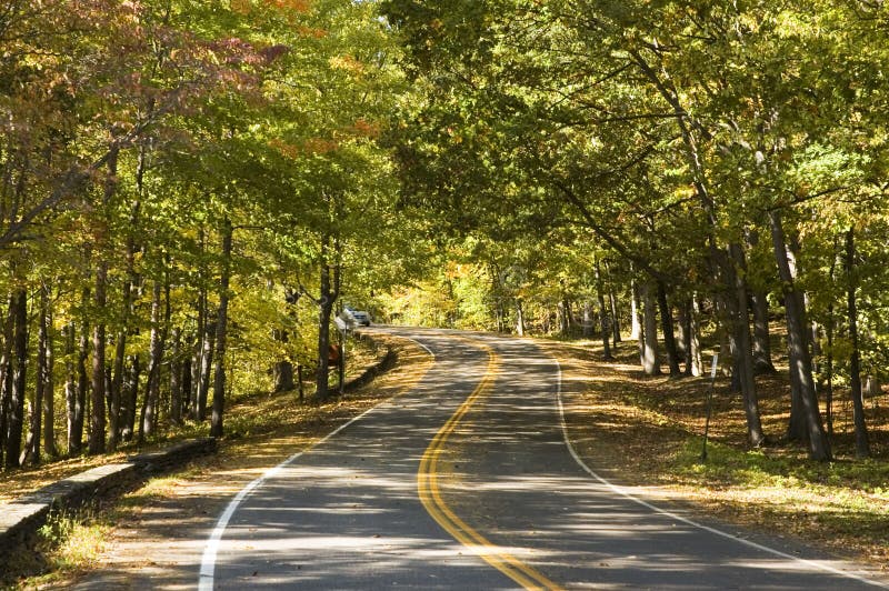 Curvy Road stock image. Image of seasonal, green, wood - 308157