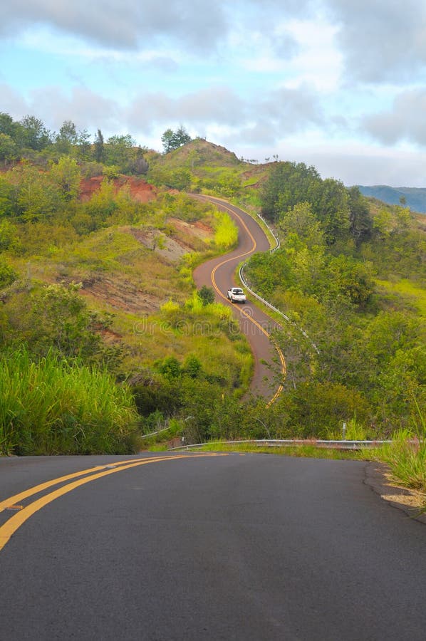 Curvy road stock image. Image of plants, lush, curves - 8568597