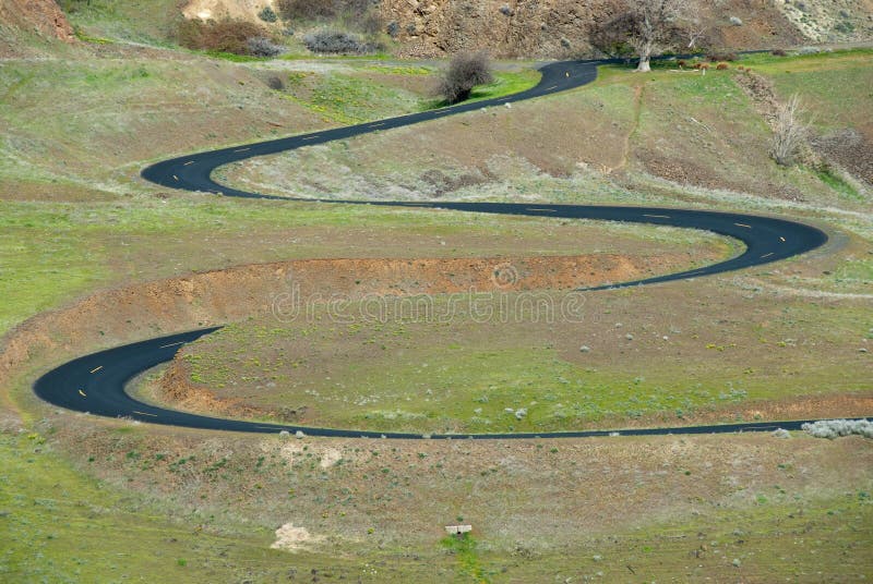 Curvy Road stock photo. Image of curvy, flowers, road - 9670452