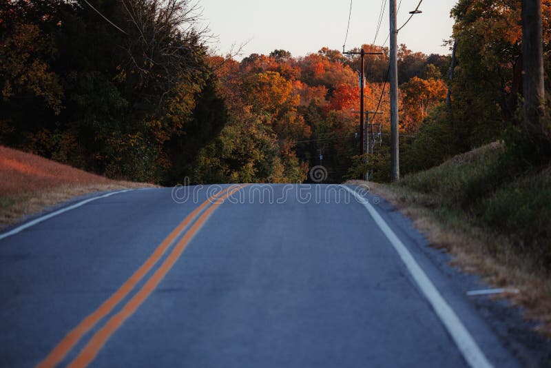 Curvy Road in the Countryside through the Trees Stock Photo - Image of ...
