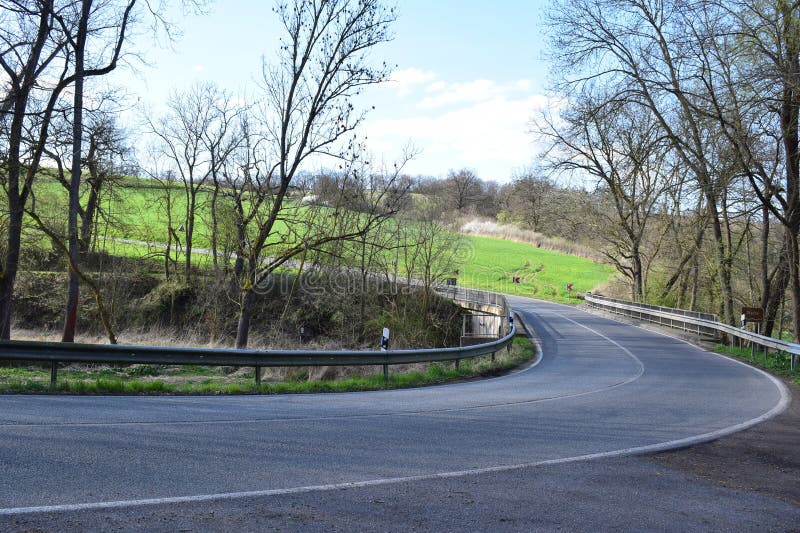 Curvy Road in Early Spring Forest Stock Photo - Image of developing ...