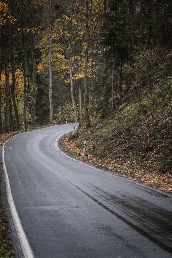 Curvy road in the fall stock image. Image of bright - 130759205
