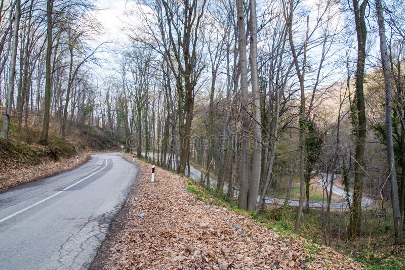 Curvy road stock photo. Image of path, grass, prairie - 87759894