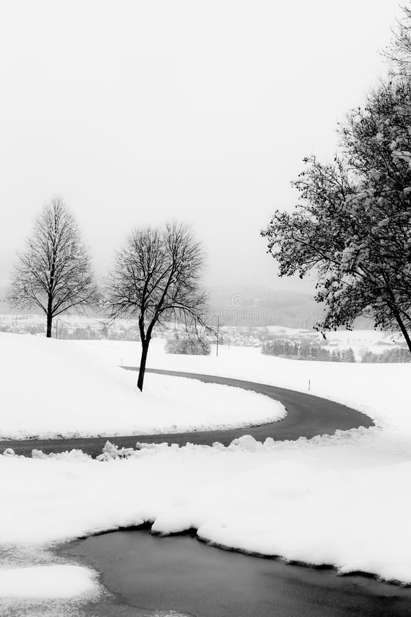 A Curvy Road in the Midst of Snow, with Trees at the Side Stock Image ...