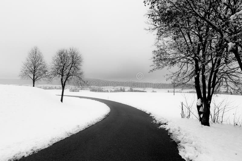 A Curvy Road in the Midst of Snow, with Trees at the Side Stock Image ...
