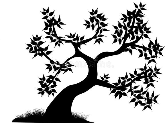 Curvy Trunk Stock Illustrations – 209 Curvy Trunk Stock Illustrations ...