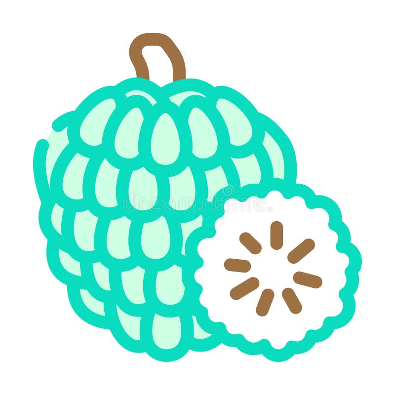 Custard Apple Fruit Color Icon Vector Illustration Stock Illustration ...