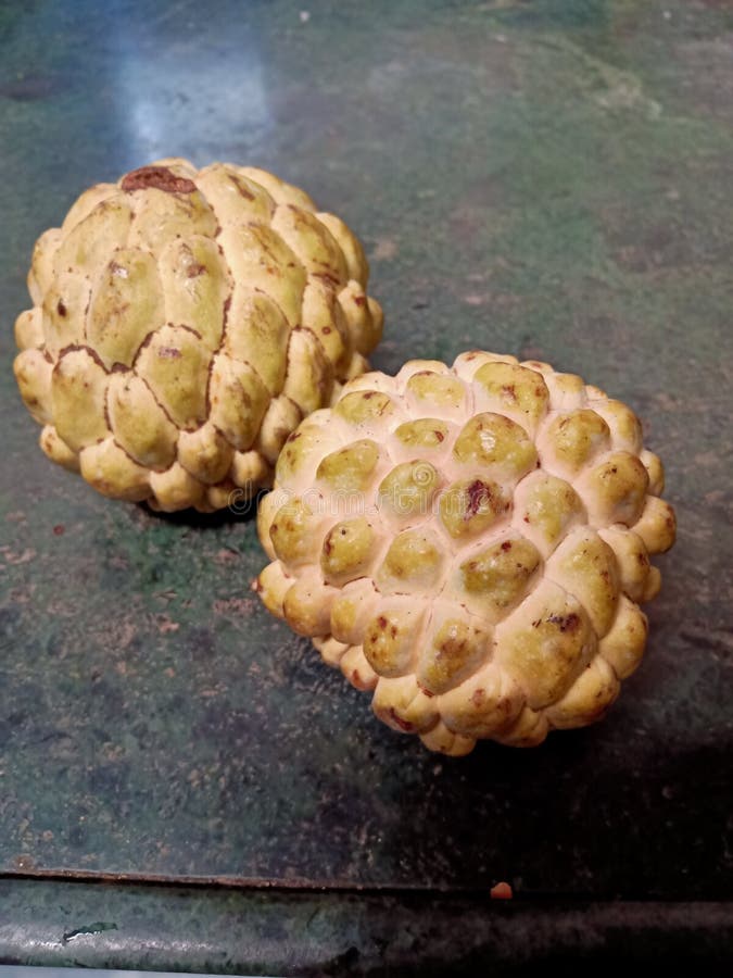 Custard Apple Indian Fruit Green Organic Fruits Stock Photo - Image of ...