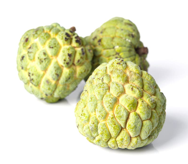 117 Custard Apple Isolate White Stock Photos - Free & Royalty-Free ...