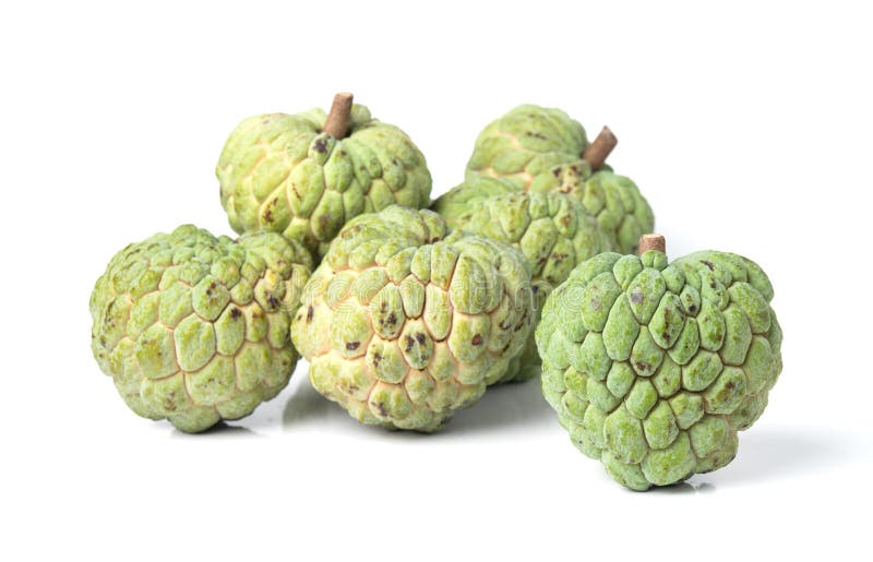 Custard Apple Isolate on White Background Stock Image - Image of ...