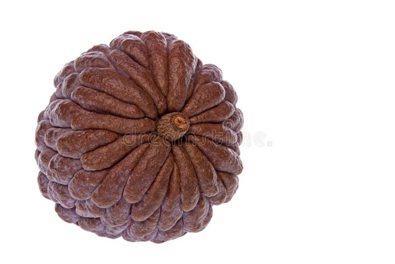 Custard Apple, Isolated stock photo. Image of white, ripe - 5742470