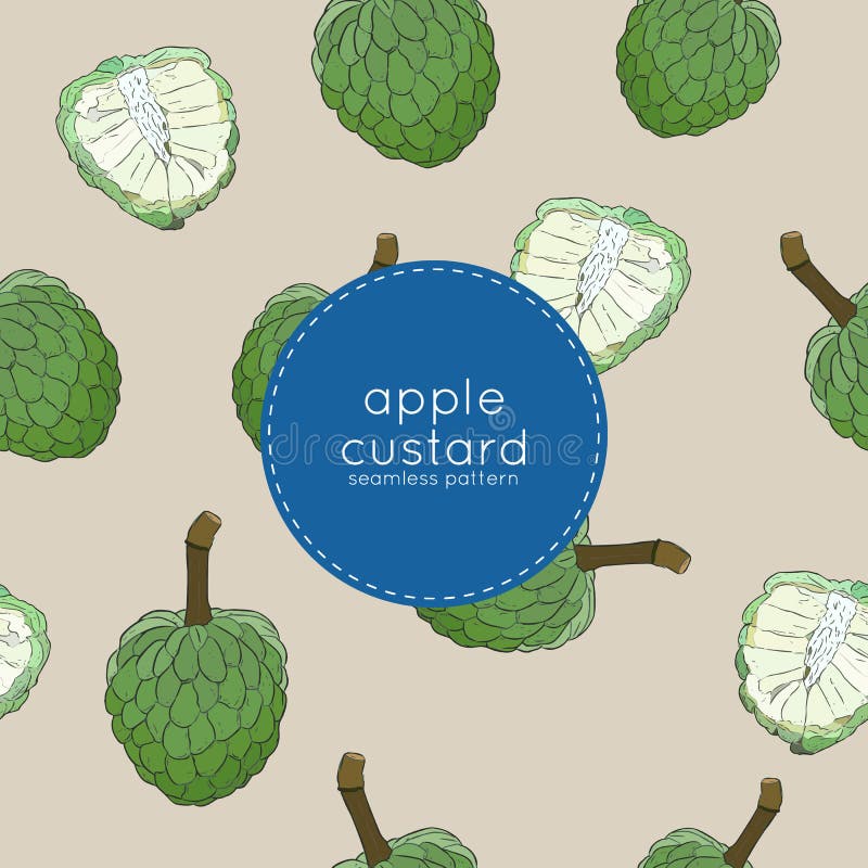 Custard Apple Tree Stock Illustrations – 138 Custard Apple Tree Stock ...
