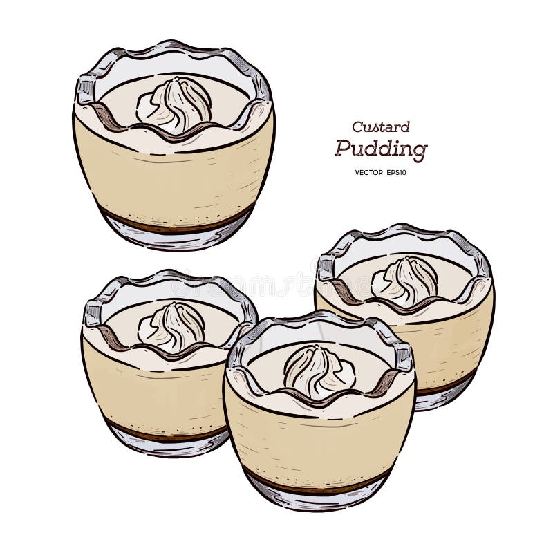 Custard Pudding in Glass. Hand Draw Vector Stock Vector - Illustration ...