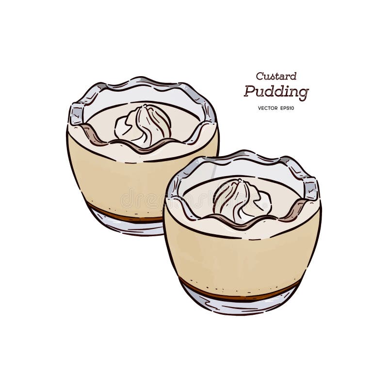 Custard Pudding in Glass. Hand Draw Vector Stock Vector - Illustration ...