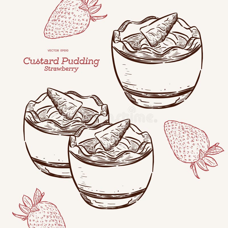 Custard Pudding in Glass. Hand Draw Vector Stock Vector - Illustration ...
