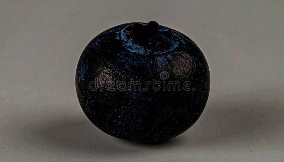 Fresh Healthy Blueberry Isolated Stock Illustration - Illustration of ...