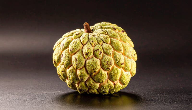 Fresh Healthy Cherimoya Isolated Stock Illustration - Illustration of ...