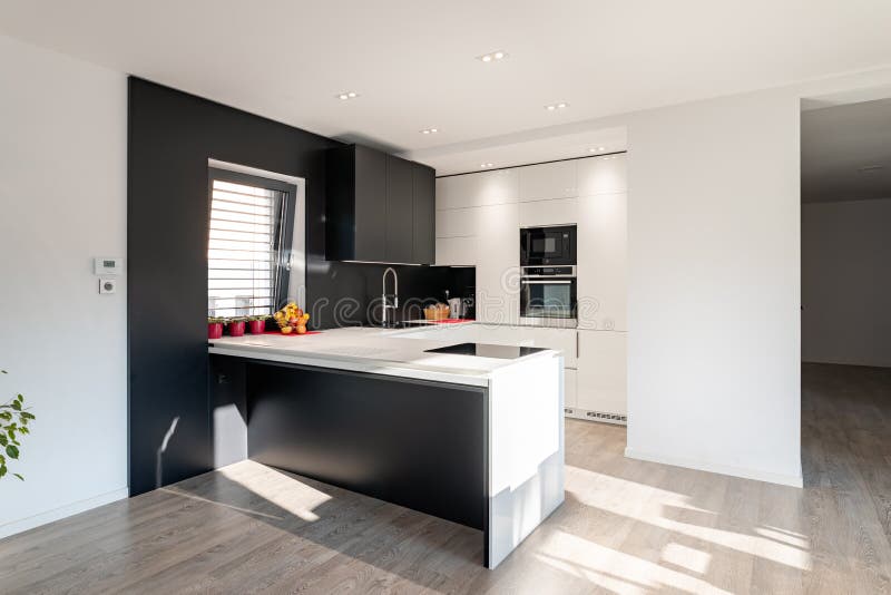 Custom Fit Minimalistic Kitchen Interior Design. Editorial Image ...