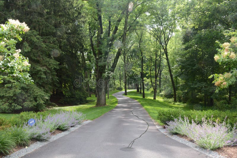 Wooded road stock photo. Image of fronts, architecture - 70632898
