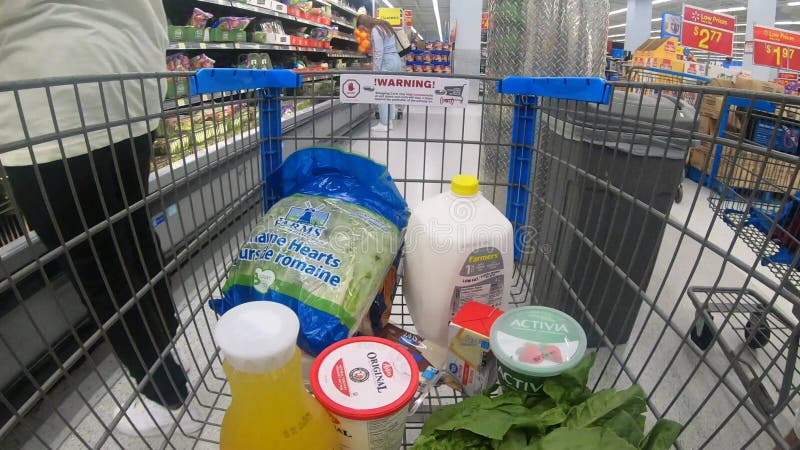 Customer Making daily Needs Basic Assorted Groceries Shopping at the ...
