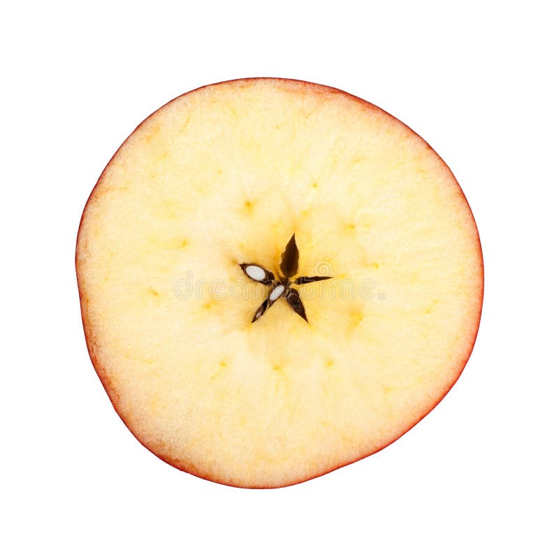 Red Apple and Circle of Apple Stock Photo - Image of condensation ...