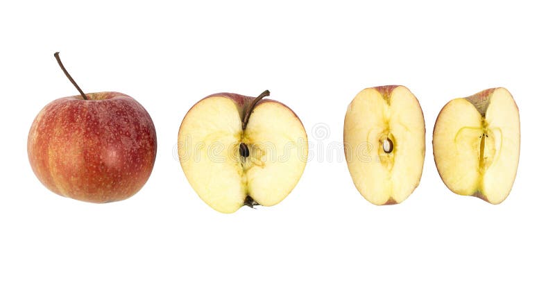 A cut apple stock image. Image of meal, eating, health - 295507289