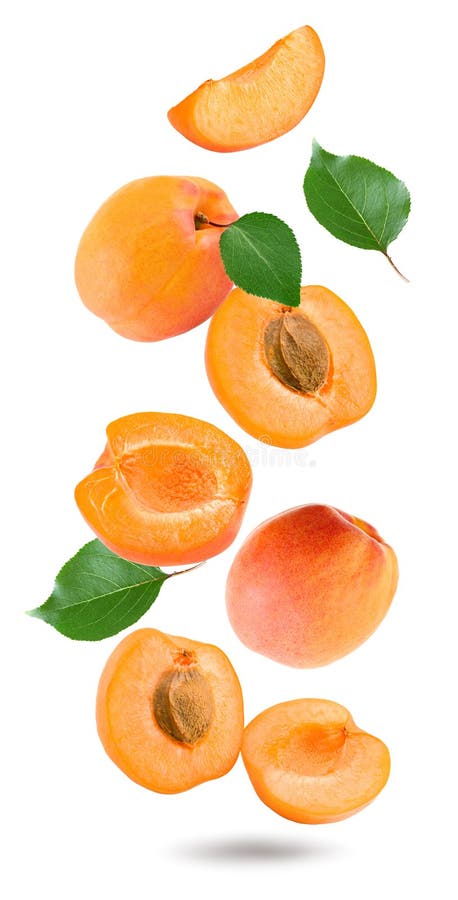 Cut of Apricot Fruit Isolated on White Background. Clipping Path Stock ...