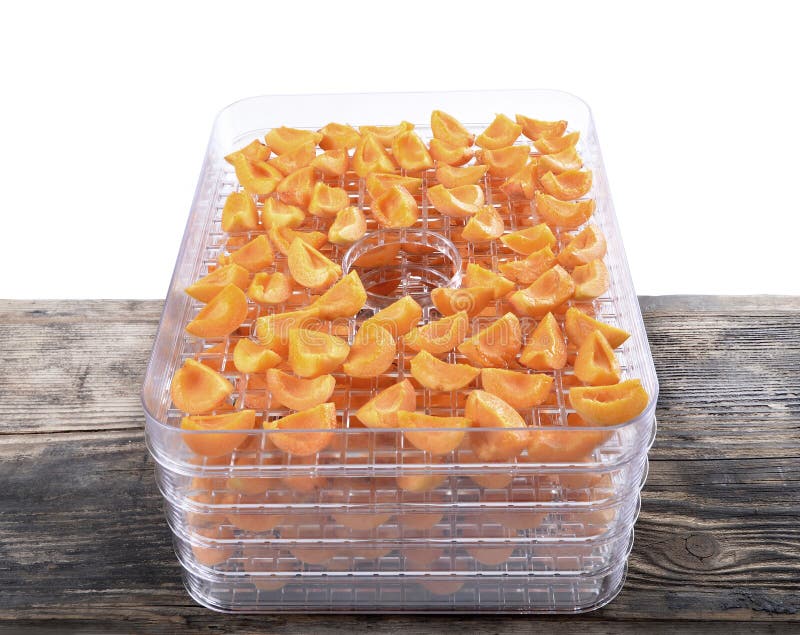 Cut Apricots on Dehydrator Tray,fruit Dryer Stock Photo - Image of ...