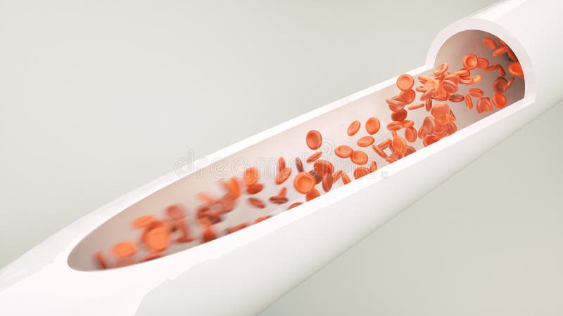 Cut through an Artery - 3D Rendering Stock Illustration - Illustration ...