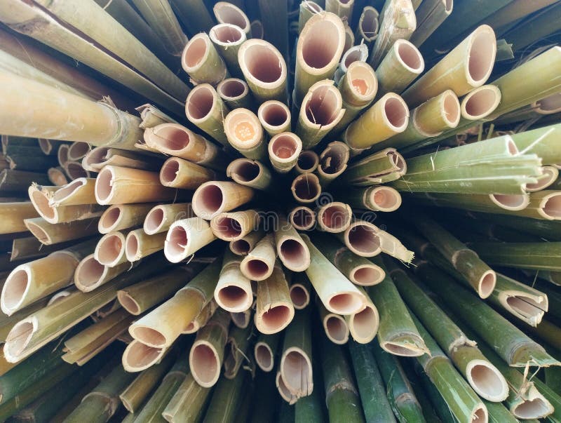 Cut Bamboo Stack Pattern Background Stock Image - Image of invertebrate ...