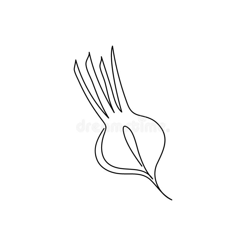 Beet Continuous Line Drawing. One Line Art of Root, Plant, Vegetable ...